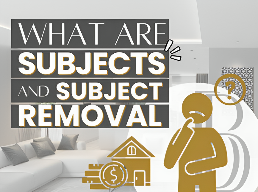 What are SUBJECTS and SUBJECT REMOVAL?