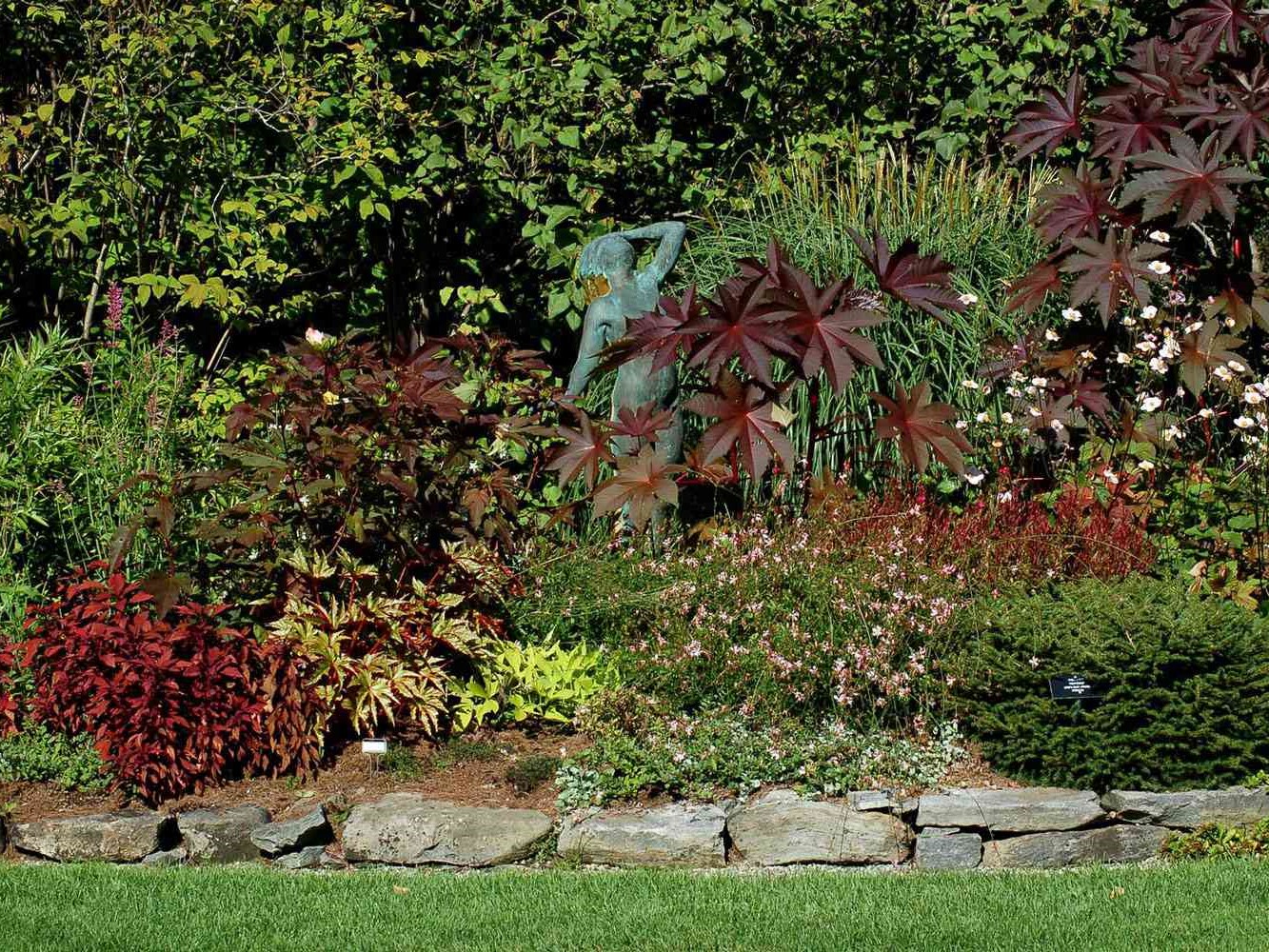 Tree trespassing: Maintaining border and boundary trees