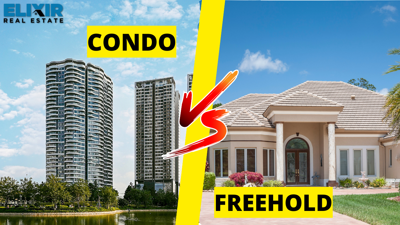 Condos vs Freehold Ownership – Explained