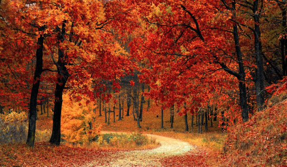 What To Do In Kelowna Fall 2024