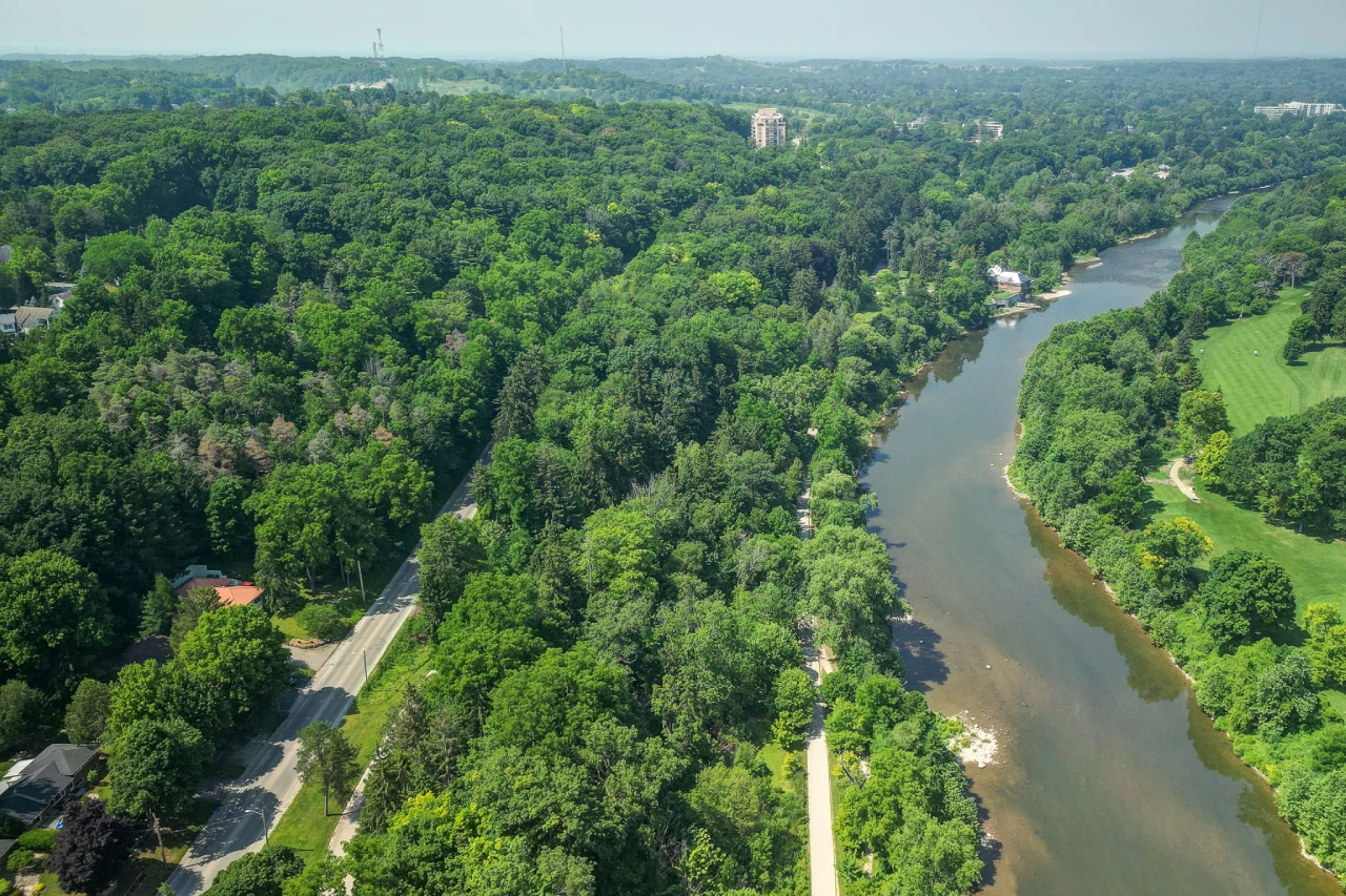 Blue Forest Realty Inc - Your Trusted Real Estate Partners