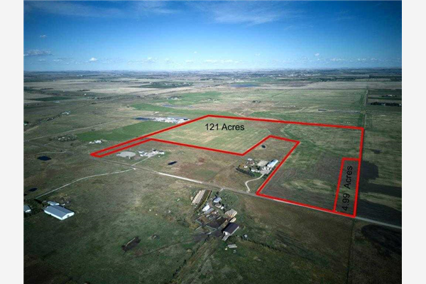 DIXIE HARTELL - Your Trusted Real Estate Partner