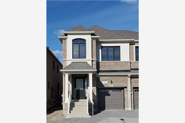 Home [www.zinzu.com]