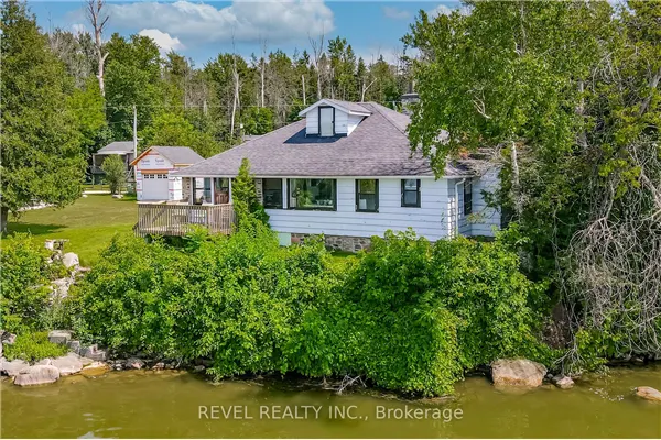 Trish Todd Real Estate - Your Trusted Real Estate Partner