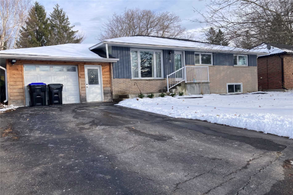 Angus Homes for Sale