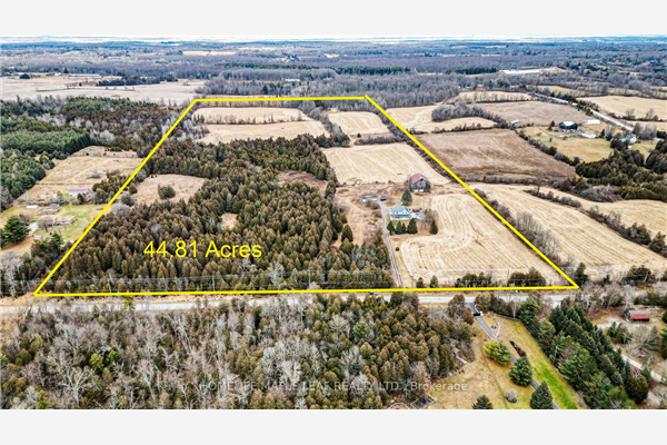 Homes For Sale Bill Lia Mcnally Real Estate