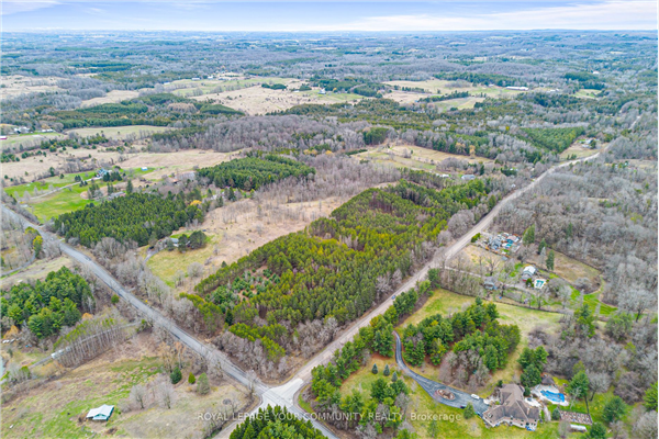 Tyler McLay Realty Group