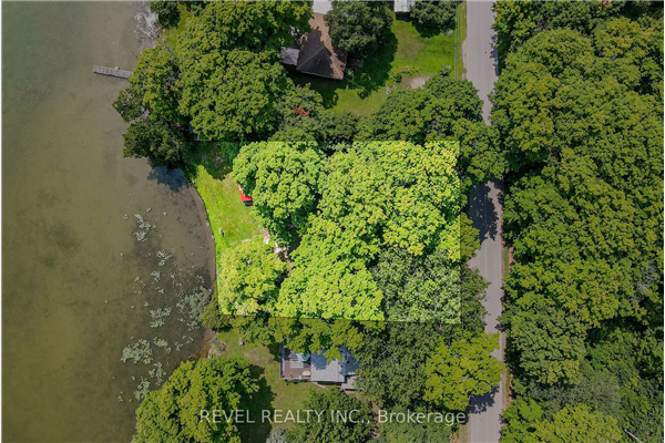 Trish Todd Real Estate - Your Trusted Real Estate Partner