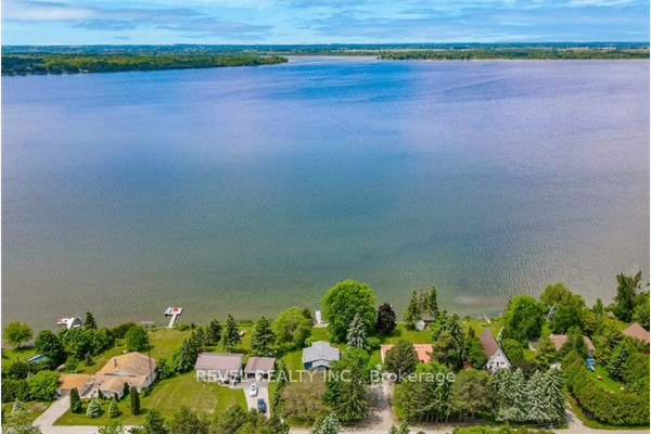 Trish Todd Real Estate - Your Trusted Real Estate Partner